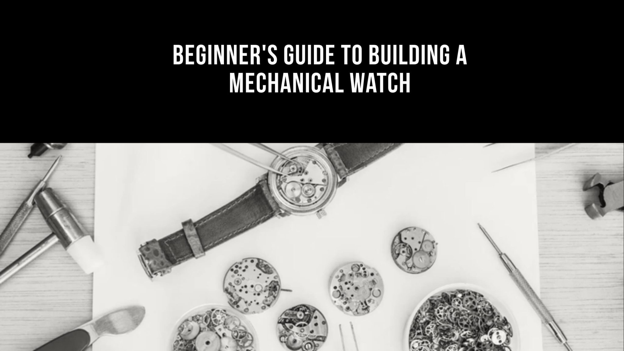 How to Build Your Own Mechanical Watch - Rubber B